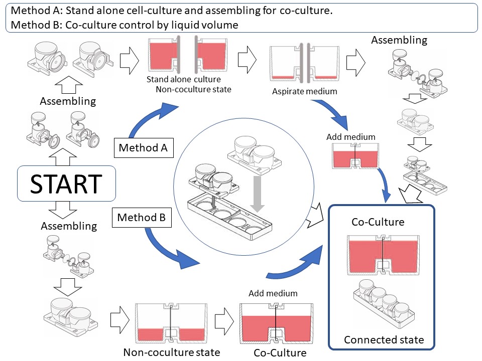 How to use ICCP | Horizontal co-culture plate
