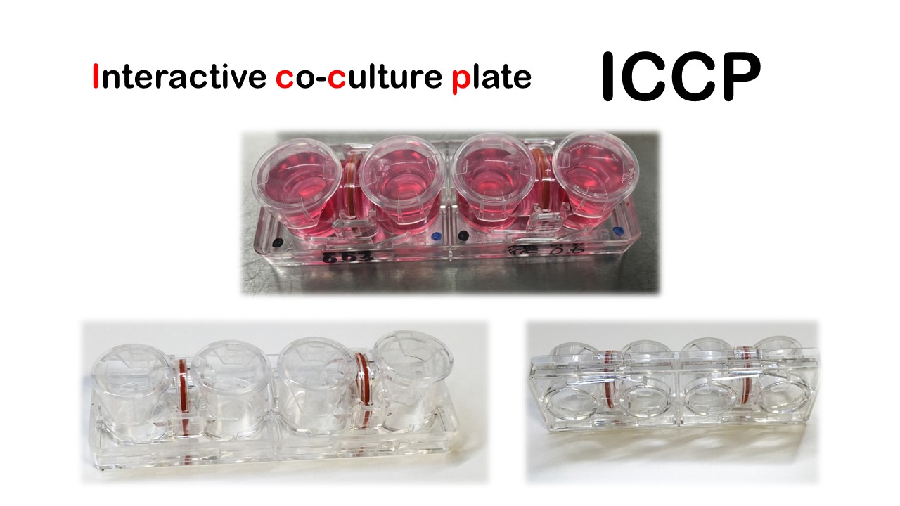 What is ICCP (UniWells)? | Horizontal co-culture plate